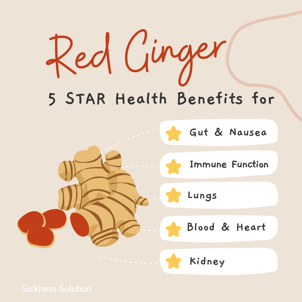 Buy Red Ginger Powder Australia | Organic, Pure & Dry | Empathy Herbal